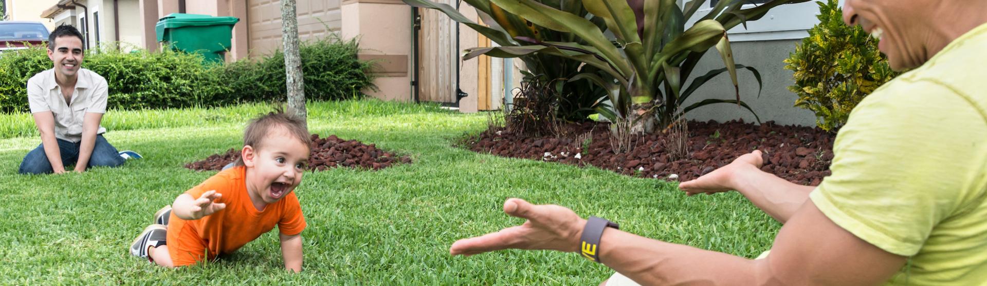 Nutritious Food Guide for Your Baby | Crawlers | Gerber